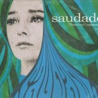 Thievery Corporation feat. Waldeck - Defenceless Låttext